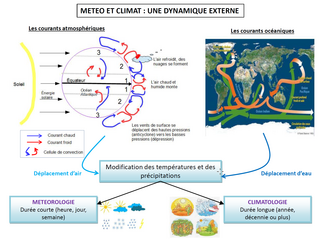 Schémas bilan en SVT - SCIENCES DE LA VIE ET DE LA TERRE