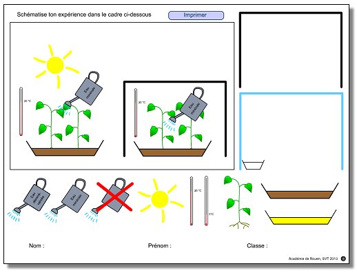 Les besoins des plantes - SCIENCES DE LA VIE ET DE LA TERRE